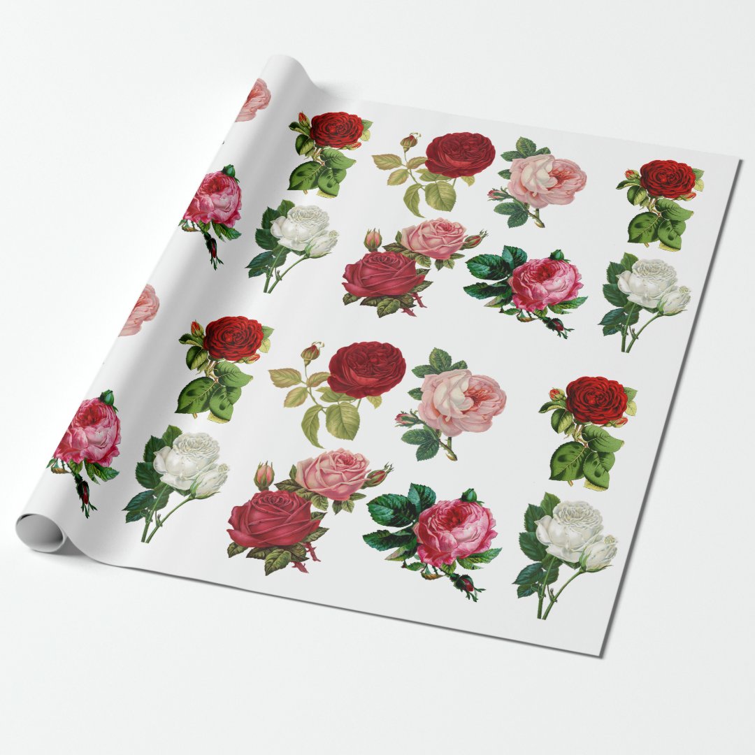 Vintage Red Pink and White Rose Wrapping Paper | Zazzle