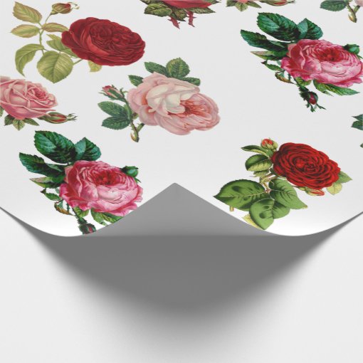 Vintage Red Pink and White Rose Wrapping Paper | Zazzle