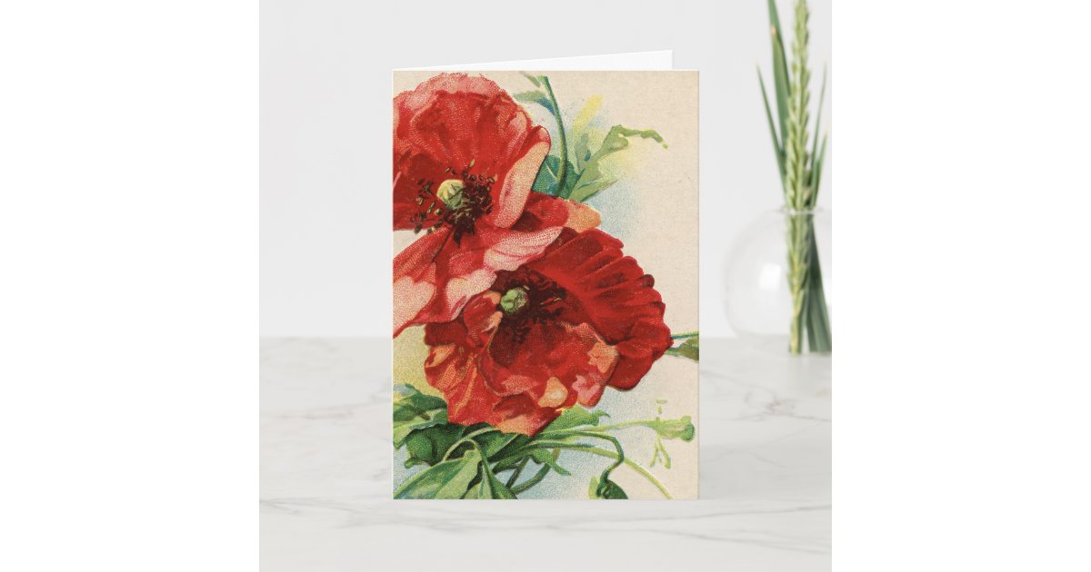 Vintage Red Poppy Flower Card | Zazzle