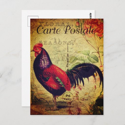 Vintage Red Rooster Postcard | Zazzle