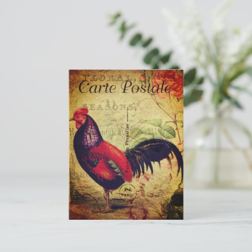 Vintage Red Rooster Postcard | Zazzle