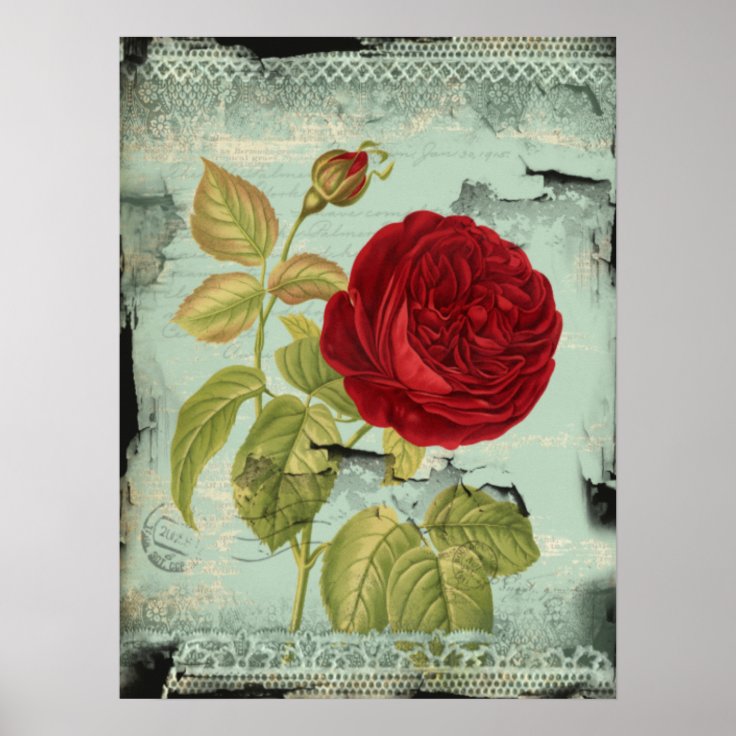 Vintage red rose poster | Zazzle
