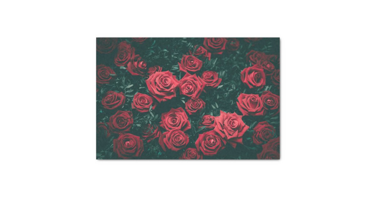 Vintage Red Roses Decoupage Rose Floral Tissue Paper | Zazzle