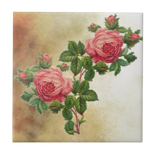 vintage red roses tile | Zazzle