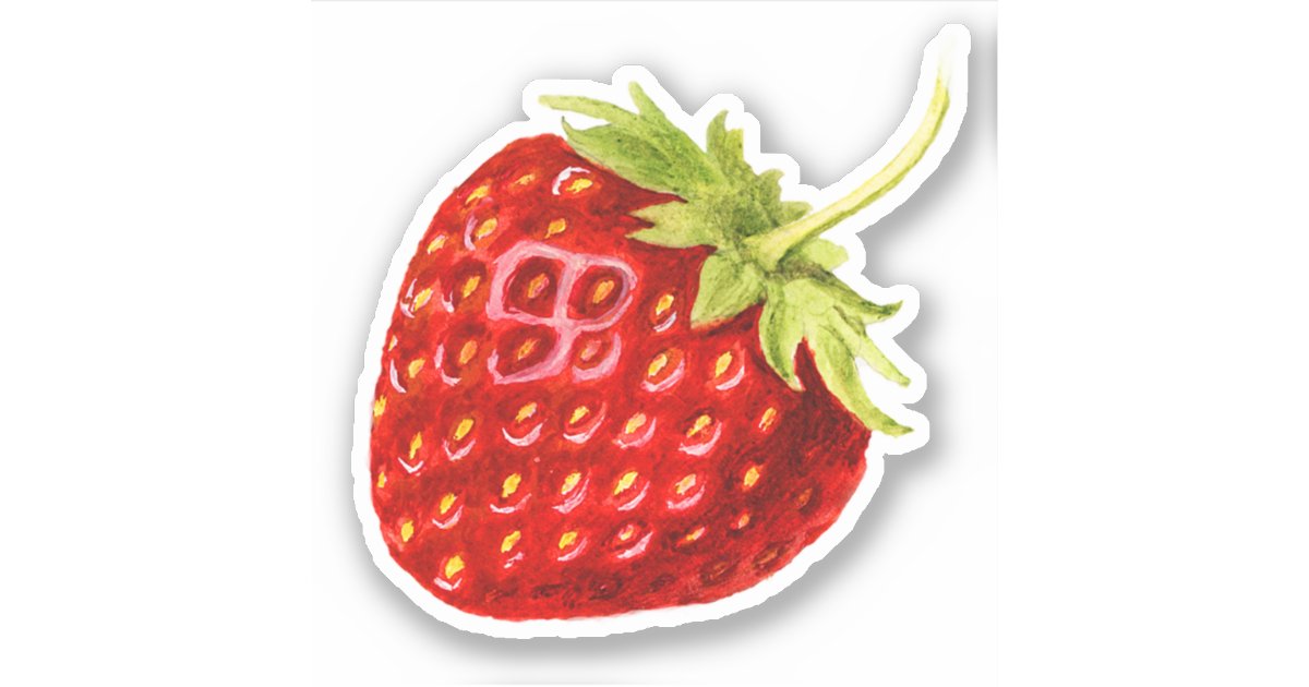 Vintage Red Strawberry Fruit Sticker | Zazzle