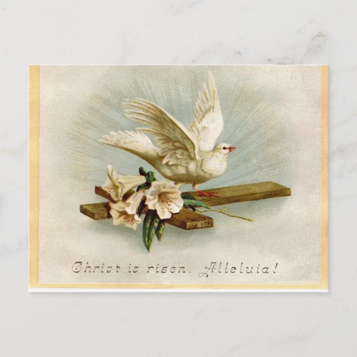 Vintage Religious Easter Dove Postcard | Zazzle.com