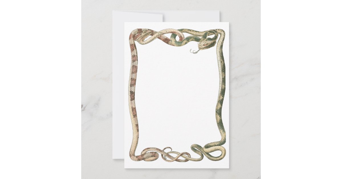 Vintage Reptiles, Entwined Snakes or Vipers Border | Zazzle