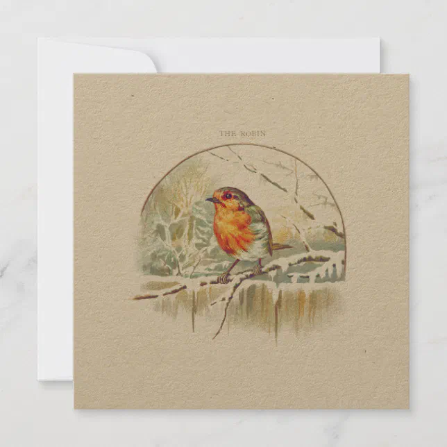 VINTAGE ROBIN "MERRY CHRISTMAS" GREETING CARD | Zazzle