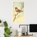 Vintage Robin Poster | Zazzle