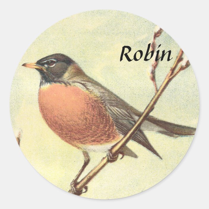 Vintage Robin Stickers | Zazzle