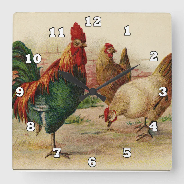 Vintage rooster and chickens Country wall decor Square Wall Clock | Zazzle