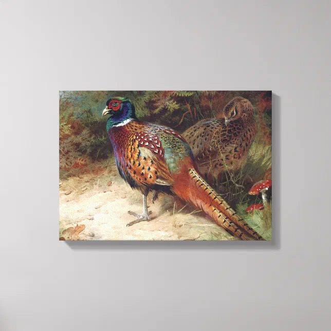 pheasant canvas prints