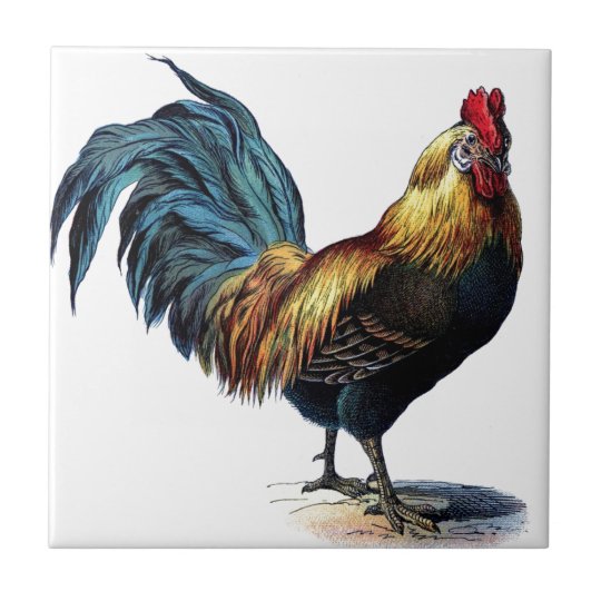 Vintage Rooster Ceramic Tile | Zazzle.com