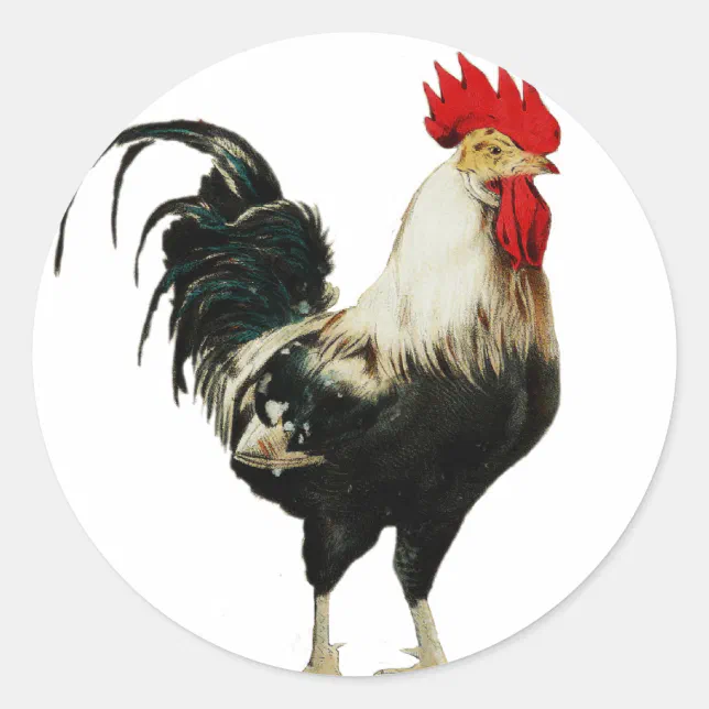 Vintage Rooster Chicken Customize Animal best Classic Round Sticker ...
