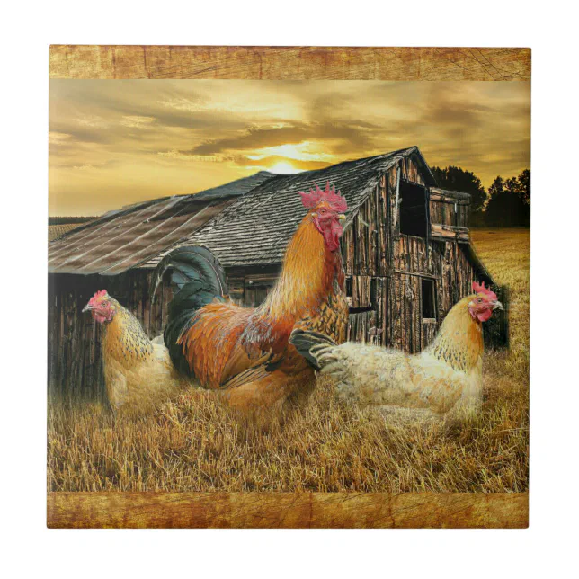 Vintage Rooster Hens Rustic Barn Coop Ceramic Tile | Zazzle