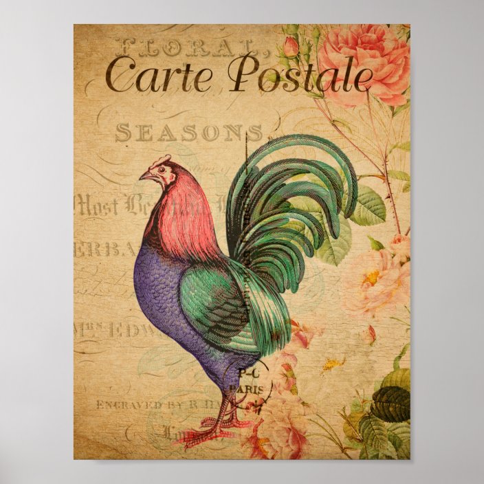 Vintage Rooster Poster | Zazzle.com
