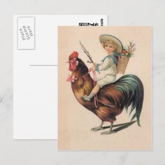 Vintage Rooster Ride Postcard | Zazzle