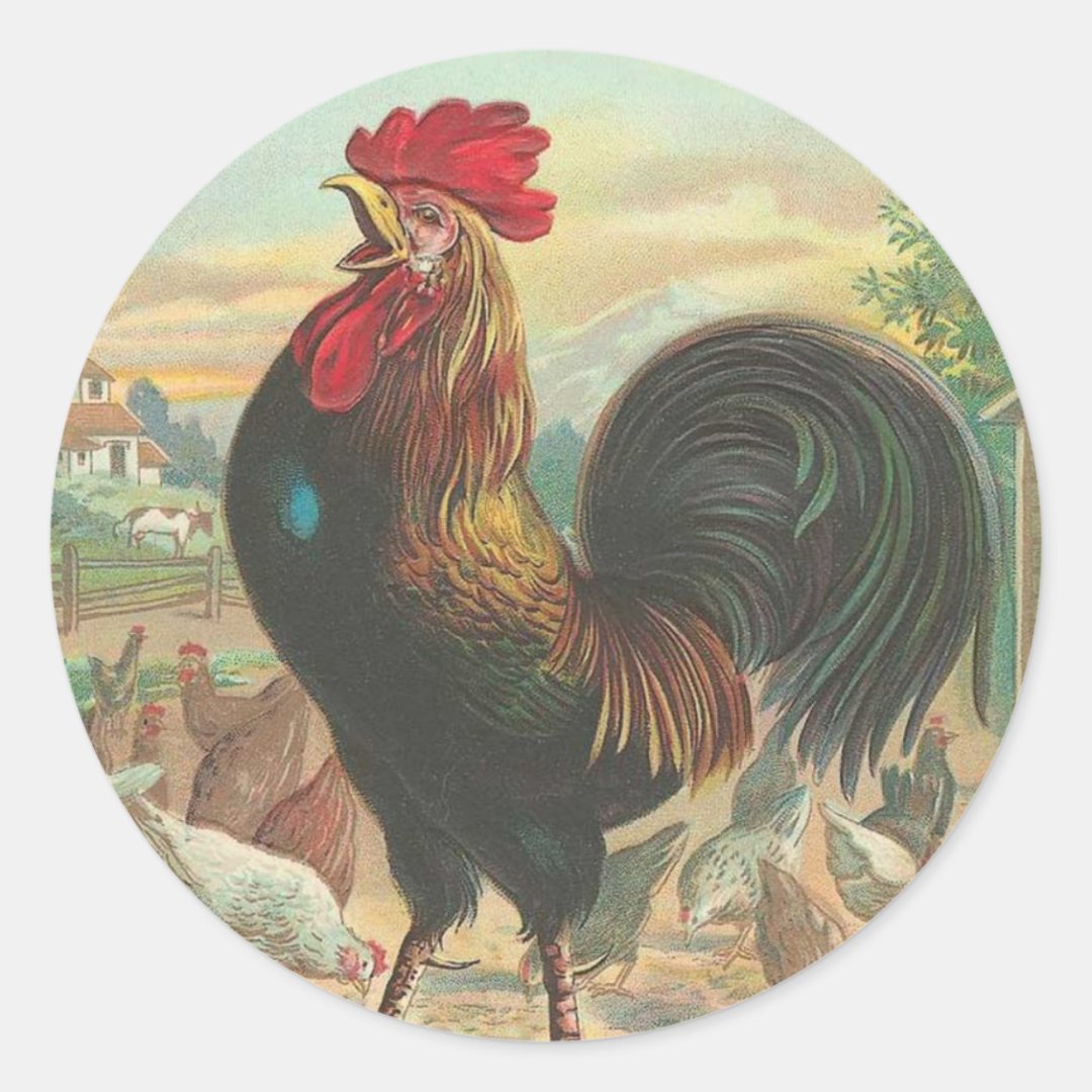 Vintage Rooster Stickers | Zazzle