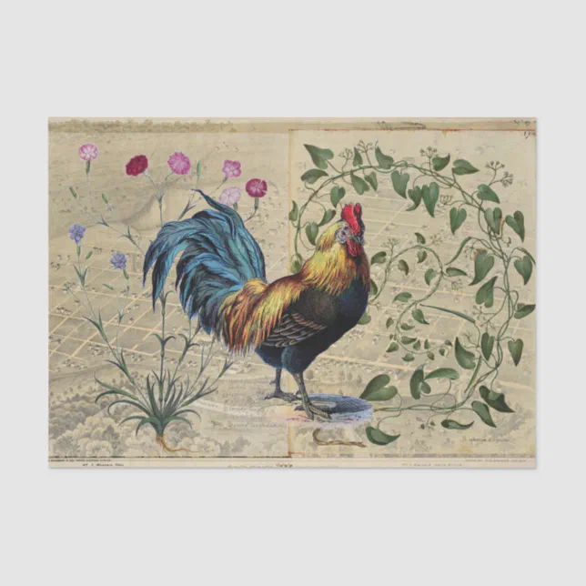 Vintage Rooster Vine Map Tissue Paper | Zazzle