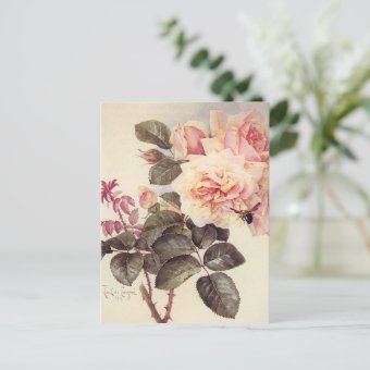 Vintage Roses Postcard | Zazzle