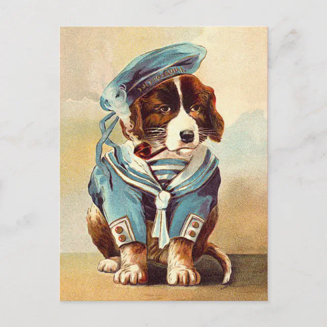 Vintage Sailor Dog Postcard | Zazzle