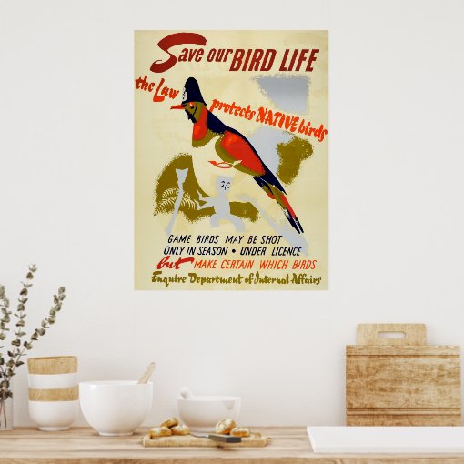Vintage Save Native Wild Bird Life Poster | Zazzle