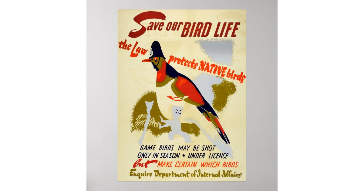 Vintage Save Native Wild Bird Life Poster | Zazzle