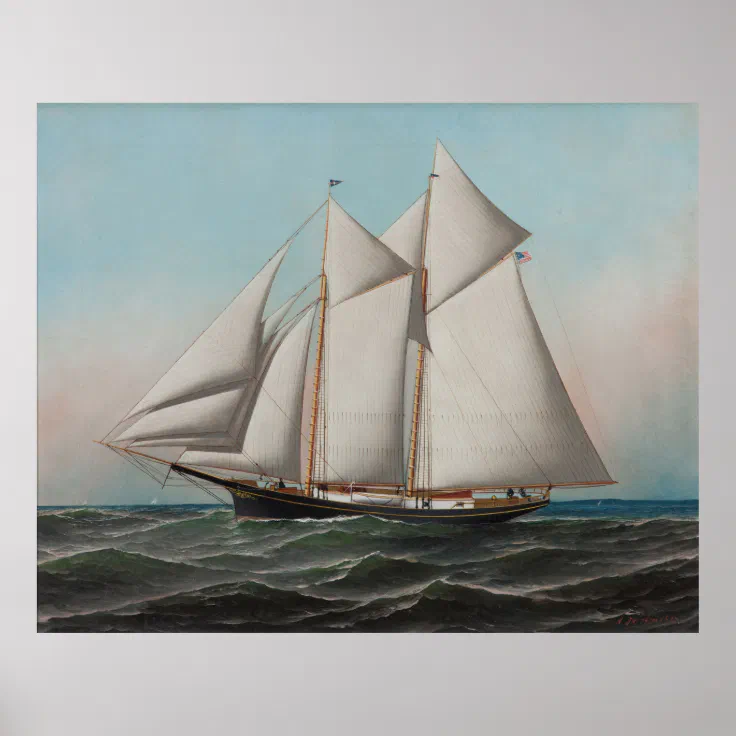 Vintage Schooner Sailboat Illustration (1887) Poster | Zazzle