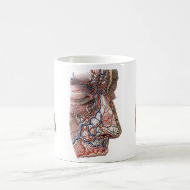 Vintage Science Human Anatomy, Face with Nose Coffee Mug | Zazzle