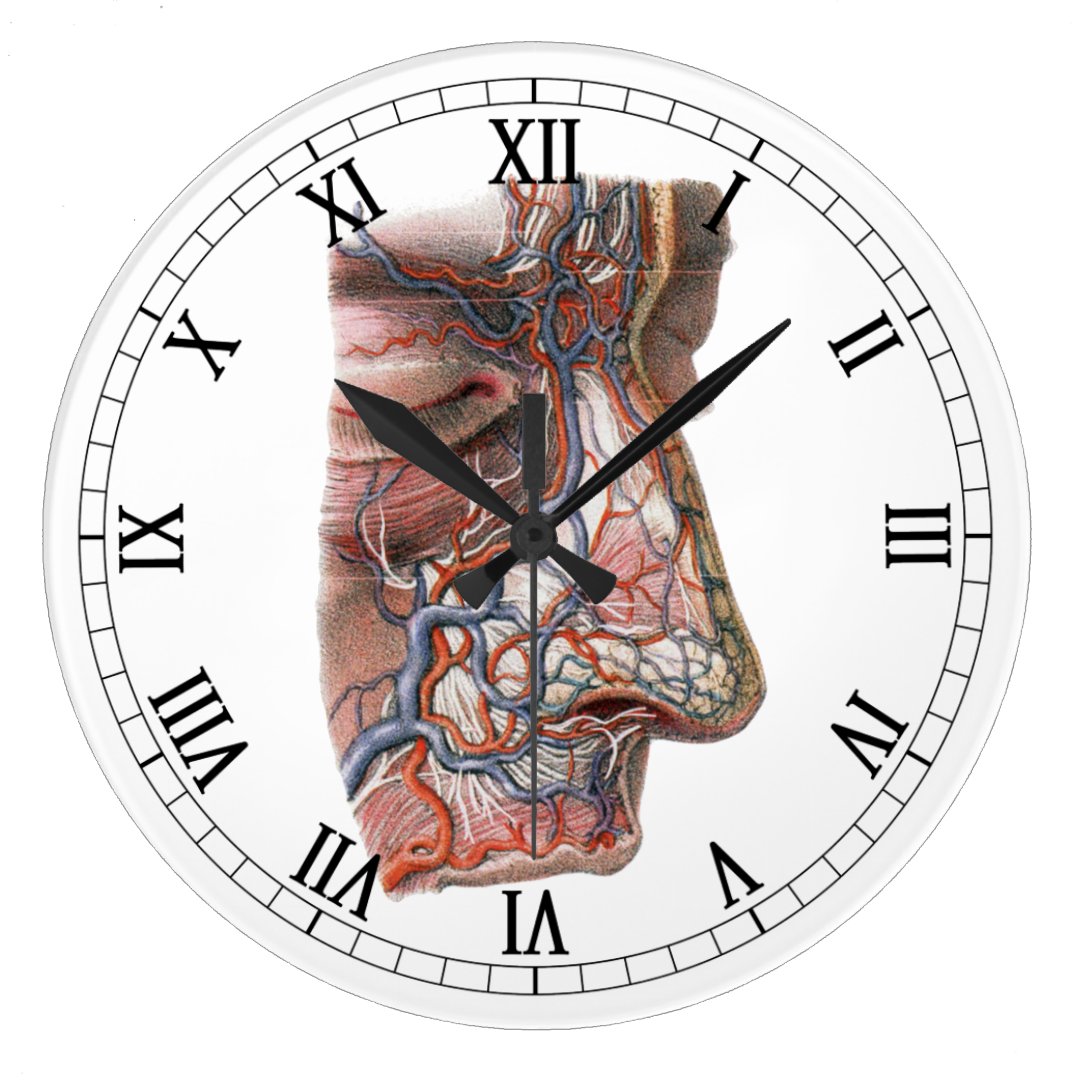 Vintage Science Human Anatomy, Face with Nose Large Clock | Zazzle