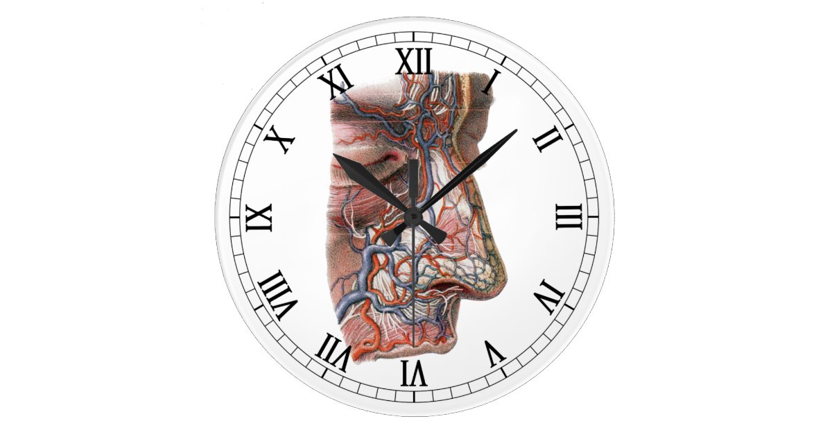 Vintage Science Human Anatomy, Face with Nose Large Clock | Zazzle