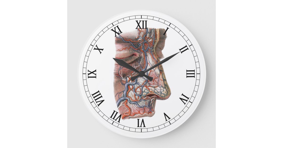 Vintage Science Human Anatomy, Face with Nose Large Clock | Zazzle