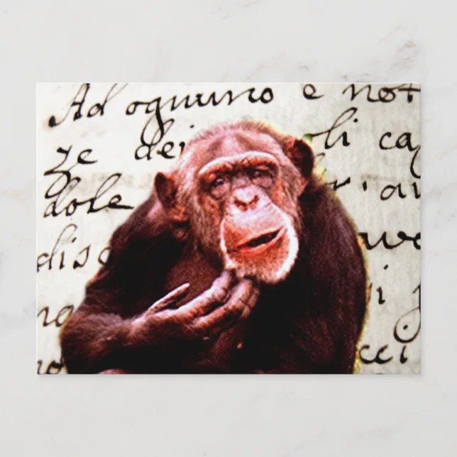 vintage scripts funny Chimpanzee Postcard | Zazzle