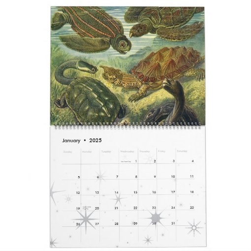 Vintage Sea Creatures and Ocean Marine Life Animal Calendar | Zazzle