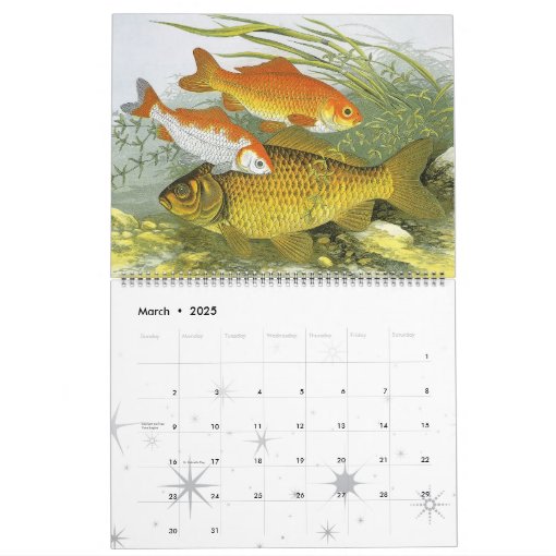 Vintage Sea Creatures and Ocean Marine Life Animal Calendar | Zazzle