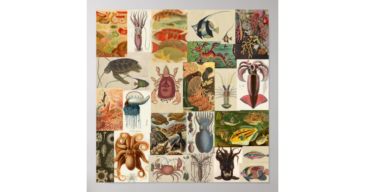 Vintage Sea Life Ocean Collage Wall Decor | Zazzle