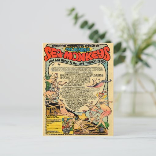 Vintage Sea Monkeys Advertisement Postcard | Zazzle