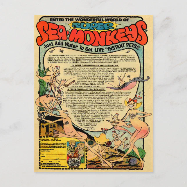 Vintage Sea Monkeys Advertisement Postcard | Zazzle