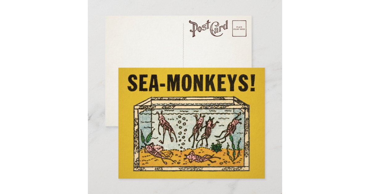 Vintage Sea Monkeys Postcard | Zazzle
