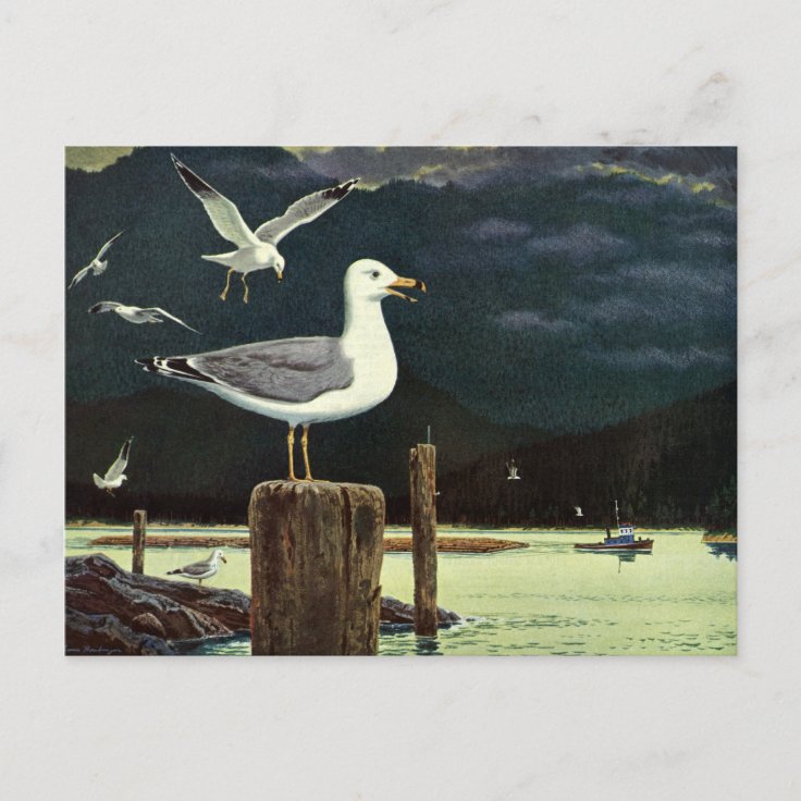 Vintage Seagull Perched Pier, Marine Birds Animals Postcard | Zazzle