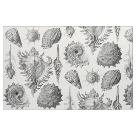 Beach shells fabric | Zazzle