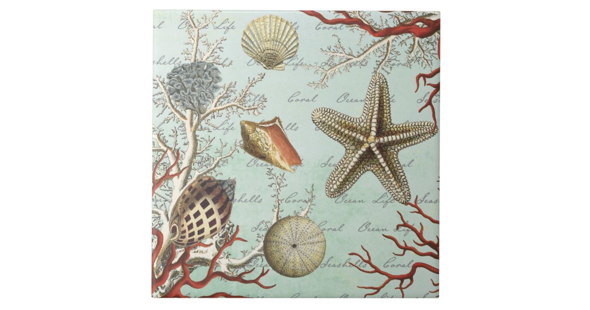 Vintage Seashells...tile Tile | Zazzle