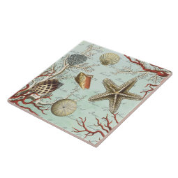 Vintage Seashells...tile Tile | Zazzle