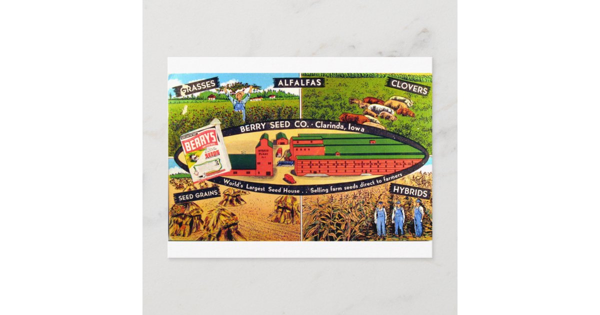 Vintage Seed Ad Postcard | Zazzle