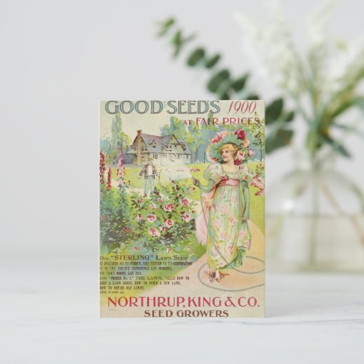 Vintage Seed Ad Postcard | Zazzle