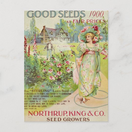 Vintage Seed Ad Postcard | Zazzle.com