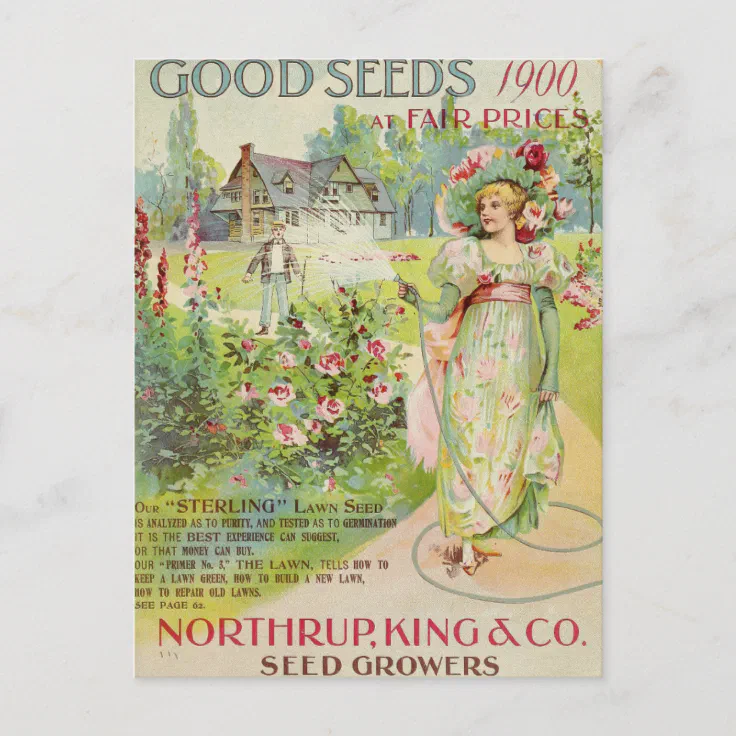 Vintage Seed Ad Postcard | Zazzle