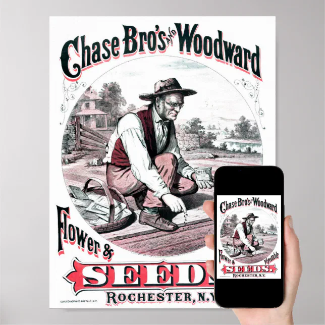 Vintage Seed Advertisement Poster | Zazzle