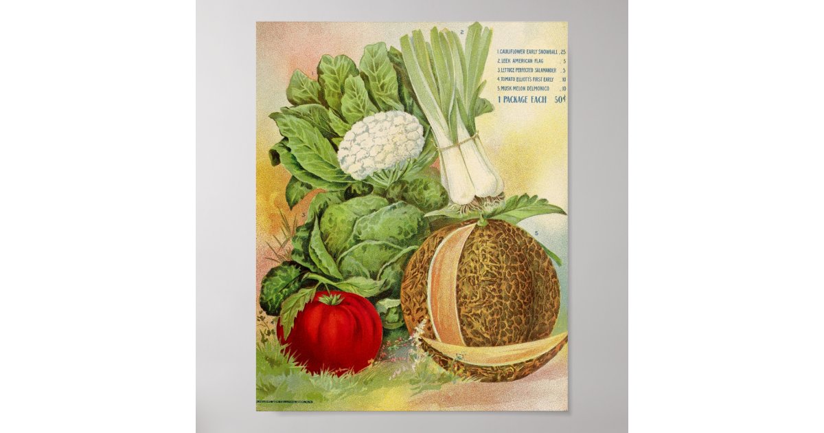 Vintage Seed Advertisement Poster | Zazzle