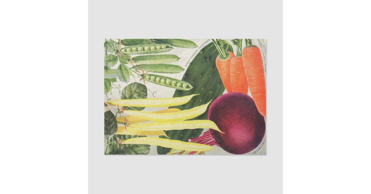 Vintage Seed Catalog Vegetables Tissue Paper | Zazzle